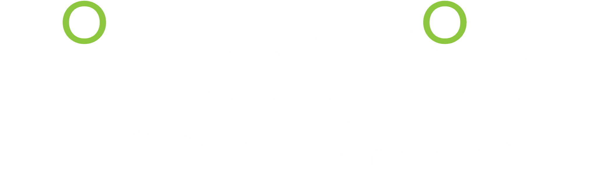 Homepage - Biz Solution