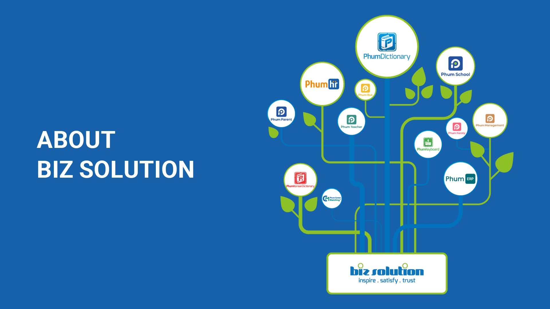 About Us - Biz Solution